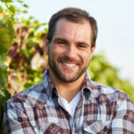 How to Identify a Persimmon Tree: A Guide for Gardeners